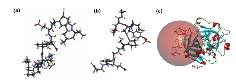Oyster Protein Peptide_Signaling Pathways_DataBase_PeptideDb