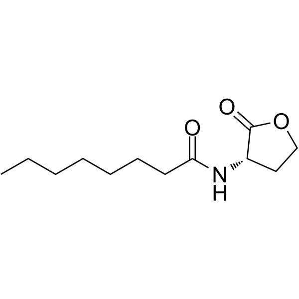N-Octanoyl-L-homoserine lactone 147852-84-4_Bacterial_Anti-infection ...